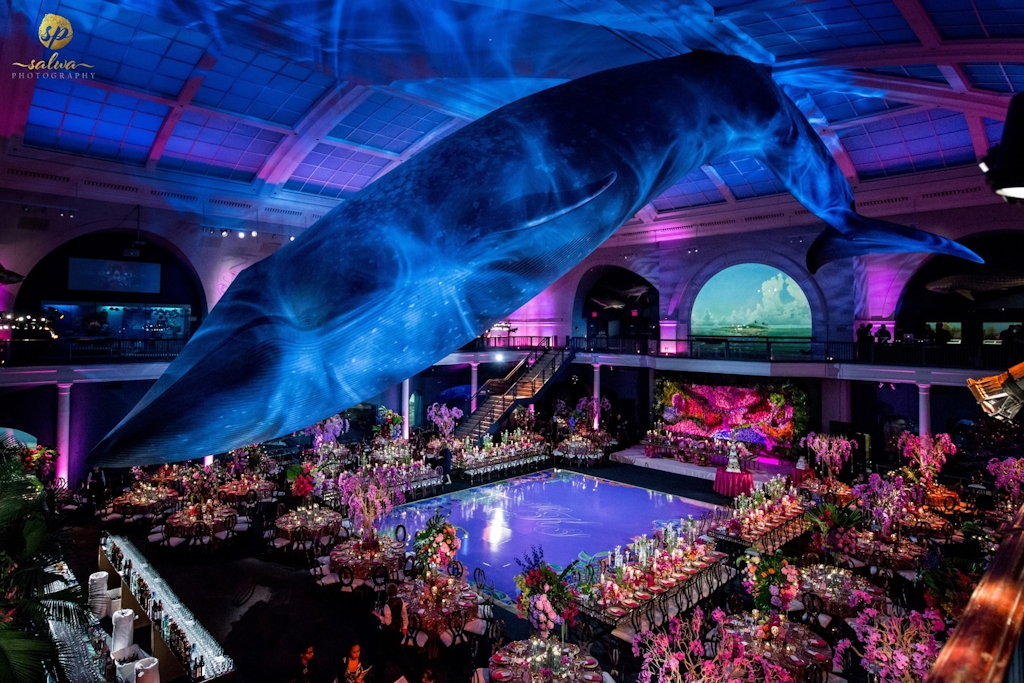 High Style Rentals by BLACE